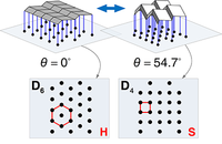 Origami lattices and folding-induced lattice transformations | Phys ...