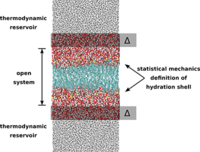 Investigation of the hydration shell of a membrane in an open system ...