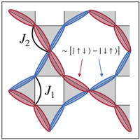 Topological nematic spin liquid on the square kagome lattice | Phys ...