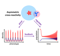 Trait-space patterning and the role of feedback in antigen-immunity ...