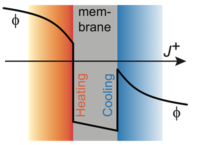 Electrostatic cooling at electrolyte-electrolyte junctions | Phys. Rev ...