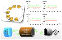 Photonic realization of a quantum finite automaton | Phys. Rev. Research