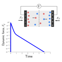 Dynamic double layer force between charged surfaces | Phys. Rev. Research
