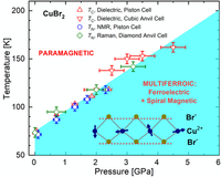 Giant pressure-enhancement of multiferroicity in | Phys. Rev. Research