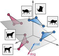 Counting the learnable functions of geometrically structured data | Phys. Rev. Research