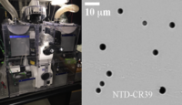 Tests and calibrations of nuclear track detectors (CR39) for operation ...