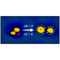 Visualizing the origin of rotational entropy effects in coadsorbed ...