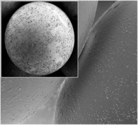 Propagation and adsorption of nanoparticles in porous medium as ...