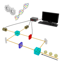 Adaptive phase estimation through a genetic algorithm | Phys. Rev. Research