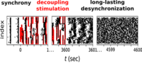 Long-lasting desynchronization by decoupling stimulation | Phys. Rev ...
