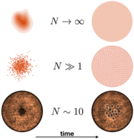 Universal dynamics in the expansion of vortex clusters in a dissipative ...