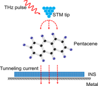 Ultrafast molecular dynamics in terahertz-STM experiments: Theoretical ...