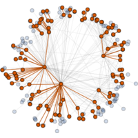 Geometric detection of hierarchical backbones in real networks | Phys. Rev. Research