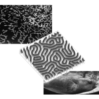 Labyrinthine patterns transitions | Phys. Rev. Research