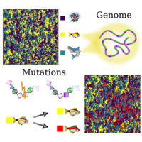 Genome heterogeneity drives the evolution of species | Phys. Rev. Research