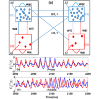 Phase dynamics of delay-coupled quasi-cycles with application to brain ...
