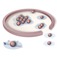 Escape problem for active particles confined to a disk | Phys. Rev ...