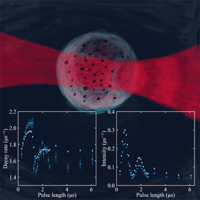 Observation of collective decay dynamics of a single Rydberg superatom ...