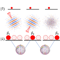 Atomic spin-wave control and spin-dependent kicks with shaped ...
