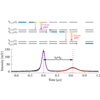 Cascade superfluorescence in Er:YLF | Phys. Rev. Research