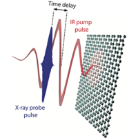 Attosecond x-ray transient absorption spectroscopy in graphene | Phys ...