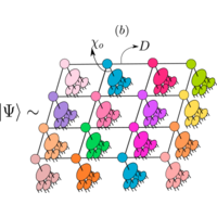 Numerical continuum tensor networks in two dimensions | Phys. Rev. Research