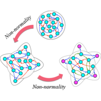 Hierarchical route to the emergence of leader nodes in real-world ...