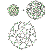 Physical Review Research - Volume 4 Issue 3