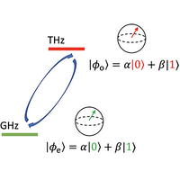 Quantum transduction is enhanced by single mode squeezing operators ...