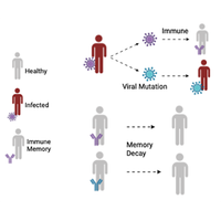 Pulse instabilities can shape virus-immune coevolution | Phys. Rev ...
