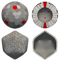 Morphological instability at topological defects in a three-dimensional ...