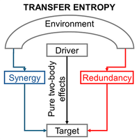 Disentangling high-order effects in the transfer entropy | Phys. Rev ...