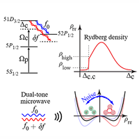Emergence of subharmonics in a microwave driven dissipative Rydberg gas ...