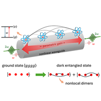 Decoherence-free many-body Hamiltonians in nonlinear waveguide quantum ...