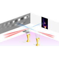 Direct visualization of shock front induced nonlinear laser wakefield ...