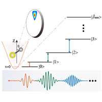 Precise quantum control of molecular rotation toward a desired ...