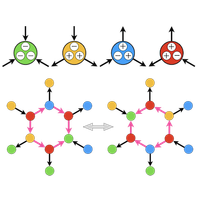 Classical spin liquid on the generalized four-color Kitaev model | Phys ...