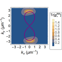 Quantum geometric tensor and wavepacket dynamics in two-dimensional non-Hermitian systems | Phys ...