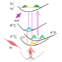 Electronic-vibrational dynamics and coherence in x-ray transient ...