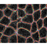 Variational Method for Image-Based Inference of Internal Stress in ...