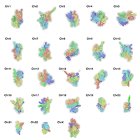 From Hi-C Contact Map to Three-Dimensional Organization of Interphase ...