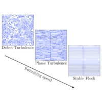 Inertia Drives a Flocking Phase Transition in Viscous Active Fluids ...
