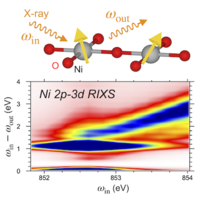 Core-Level X-Ray Spectroscopy of Infinite-Layer Nickelate: Study | Phys ...