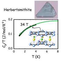 Physical Review X - Recent Articles