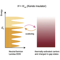 Hall Anomaly, Quantum Oscillations and Possible Lifshitz Transitions in ...