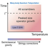 Phys. Rev. X 12, 031013 (2022) - Many-Body Quantum Teleportation via ...