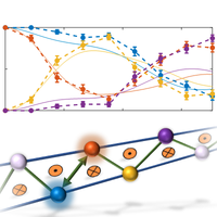 Quantum Simulations of Interacting Systems with Broken Time-Reversal Symmetry | Phys. Rev. X