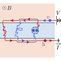 Criticality in the Crossed Andreev Reflection of a Quantum Hall Edge ...