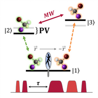 Physical Review X - Browse by Subject