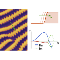 Nonreciprocal Pattern Formation of Conserved Fields | Phys. Rev. X